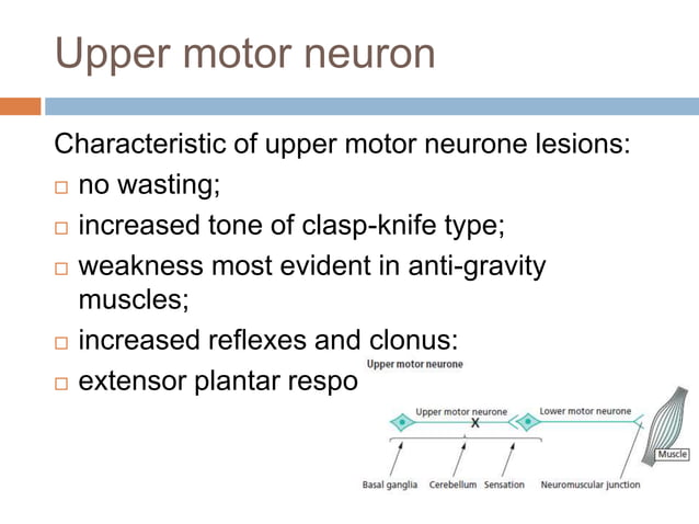 motor neuron disease | PPTX