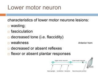 motor neuron disease | PPTX