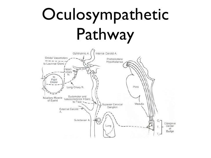 Introduction to Neuro-ophthalmology