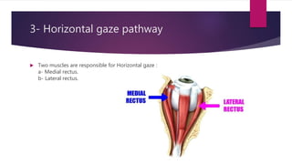 Neuro opthalmology | PPT