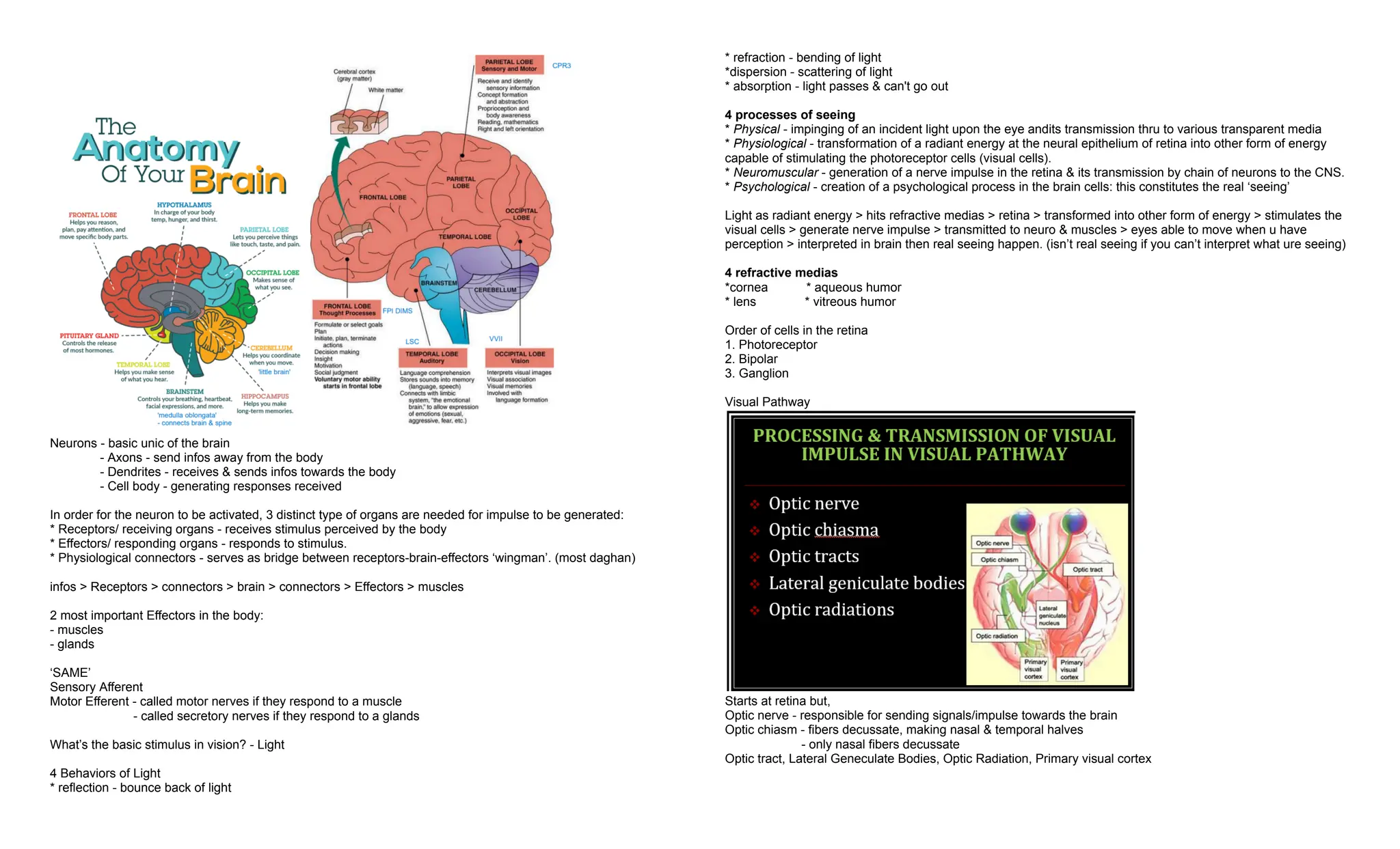 NEURO-OPTOMETRY optooptooptotoptotototkgjfjt | PDF
