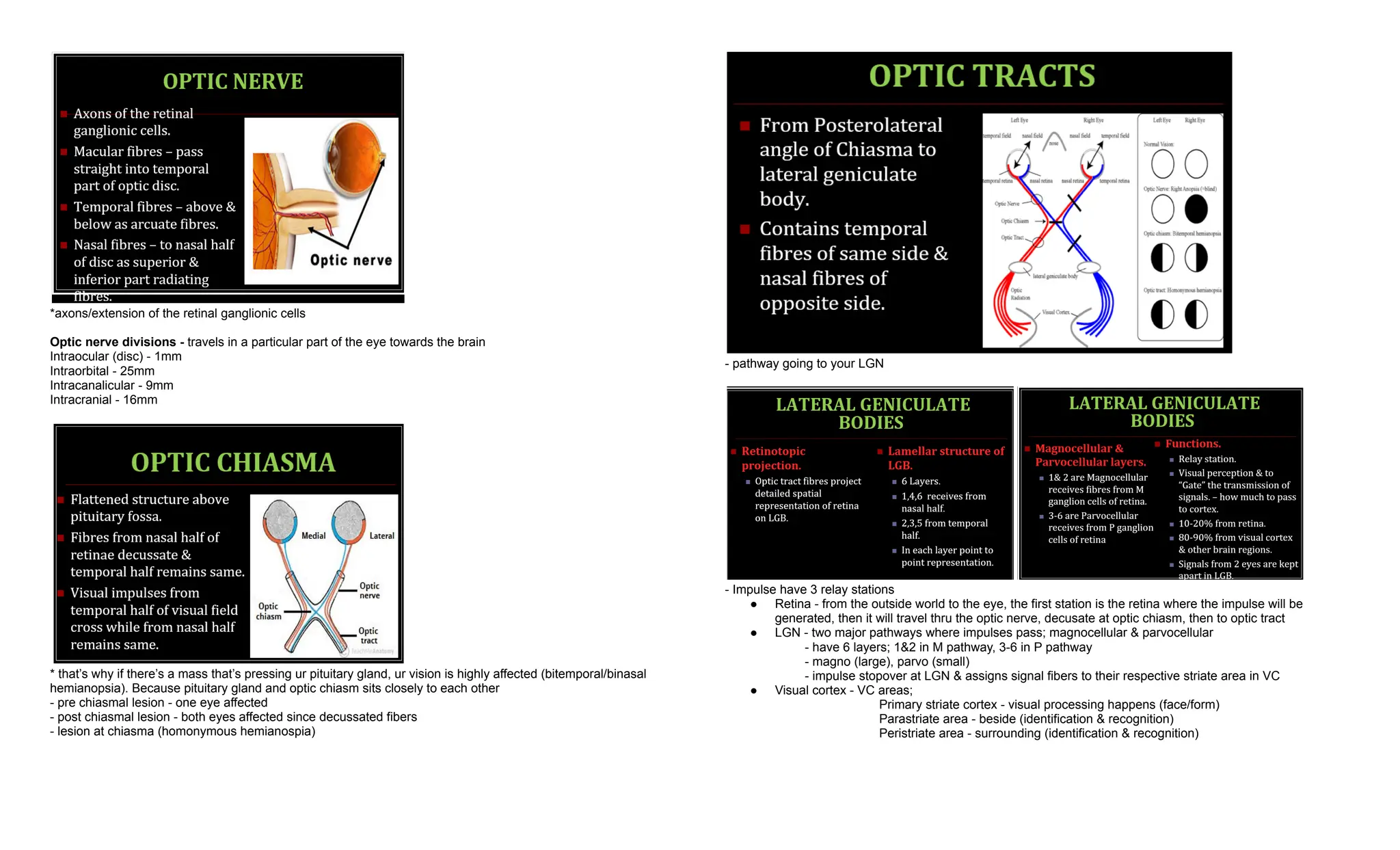 NEURO-OPTOMETRY optooptooptotoptotototkgjfjt | PDF
