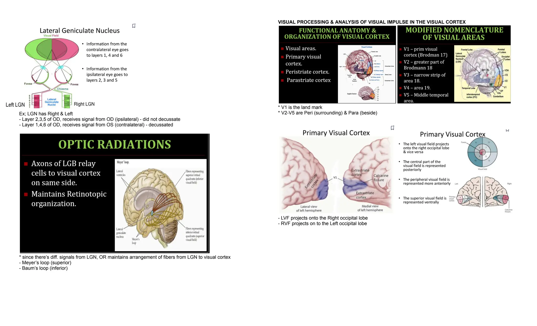 NEURO-OPTOMETRY optooptooptotoptotototkgjfjt | PDF