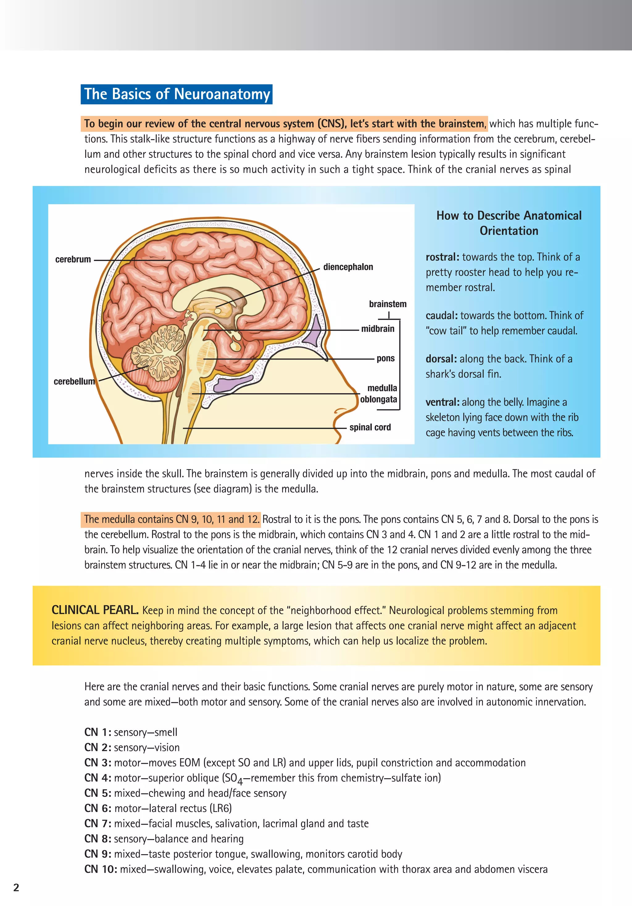 Neuro optom-supp ro-09.02.09