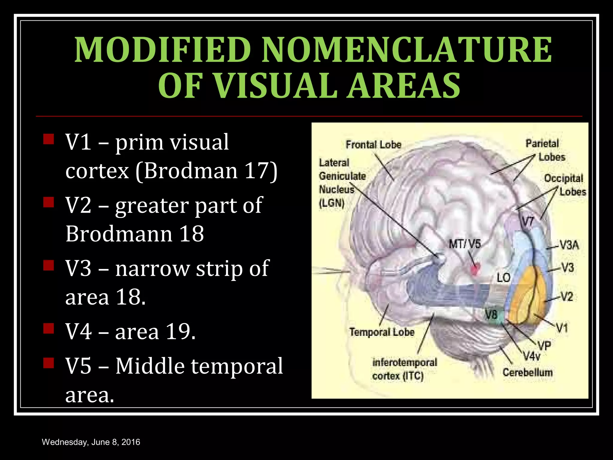 NEUROPHYSIOLOGY OF VISION | PPT