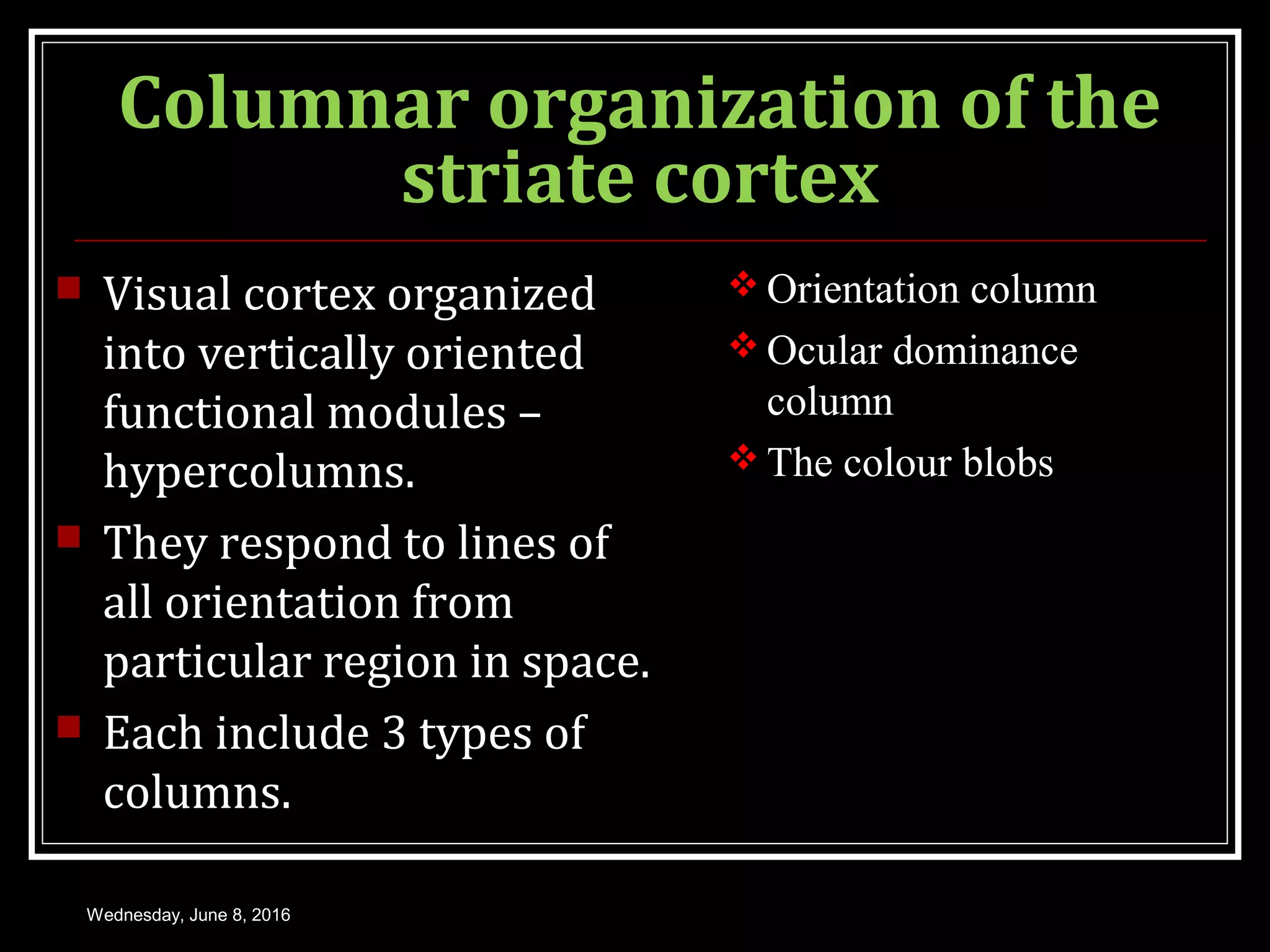 NEUROPHYSIOLOGY OF VISION | PPT
