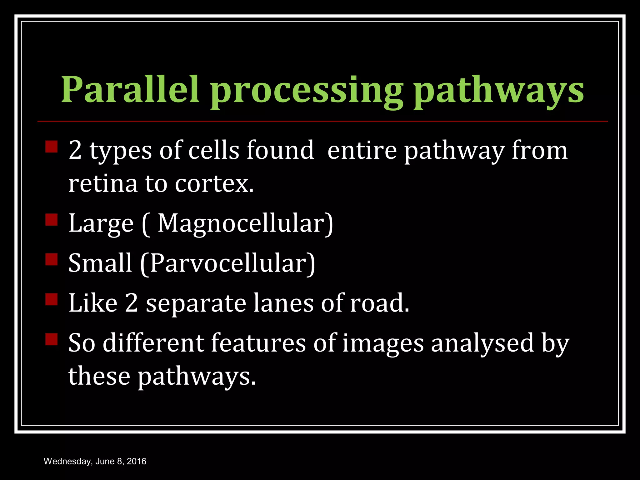 NEUROPHYSIOLOGY OF VISION | PPT