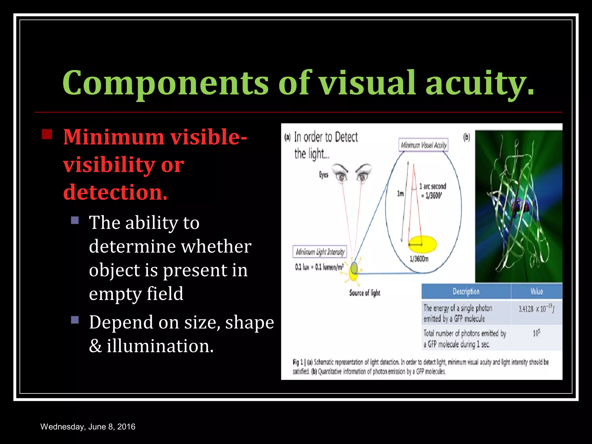 NEUROPHYSIOLOGY OF VISION | PPT
