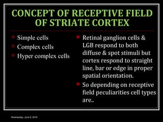 NEUROPHYSIOLOGY OF VISION | PPT