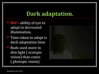 NEUROPHYSIOLOGY OF VISION | PPT