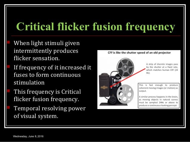 NEUROPHYSIOLOGY OF VISION