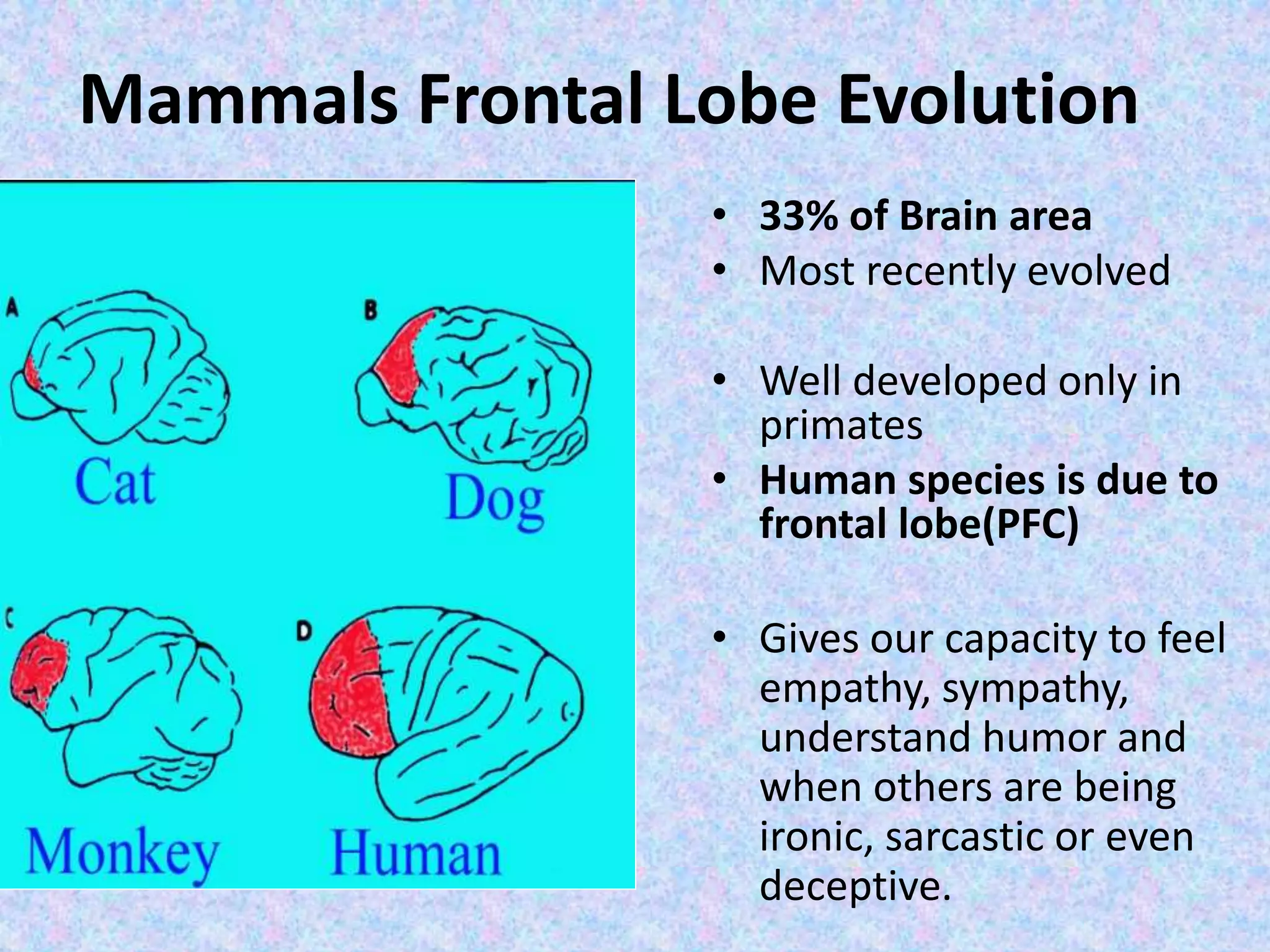 Neuro psychiatric aspect of frontal lobe | PPTX