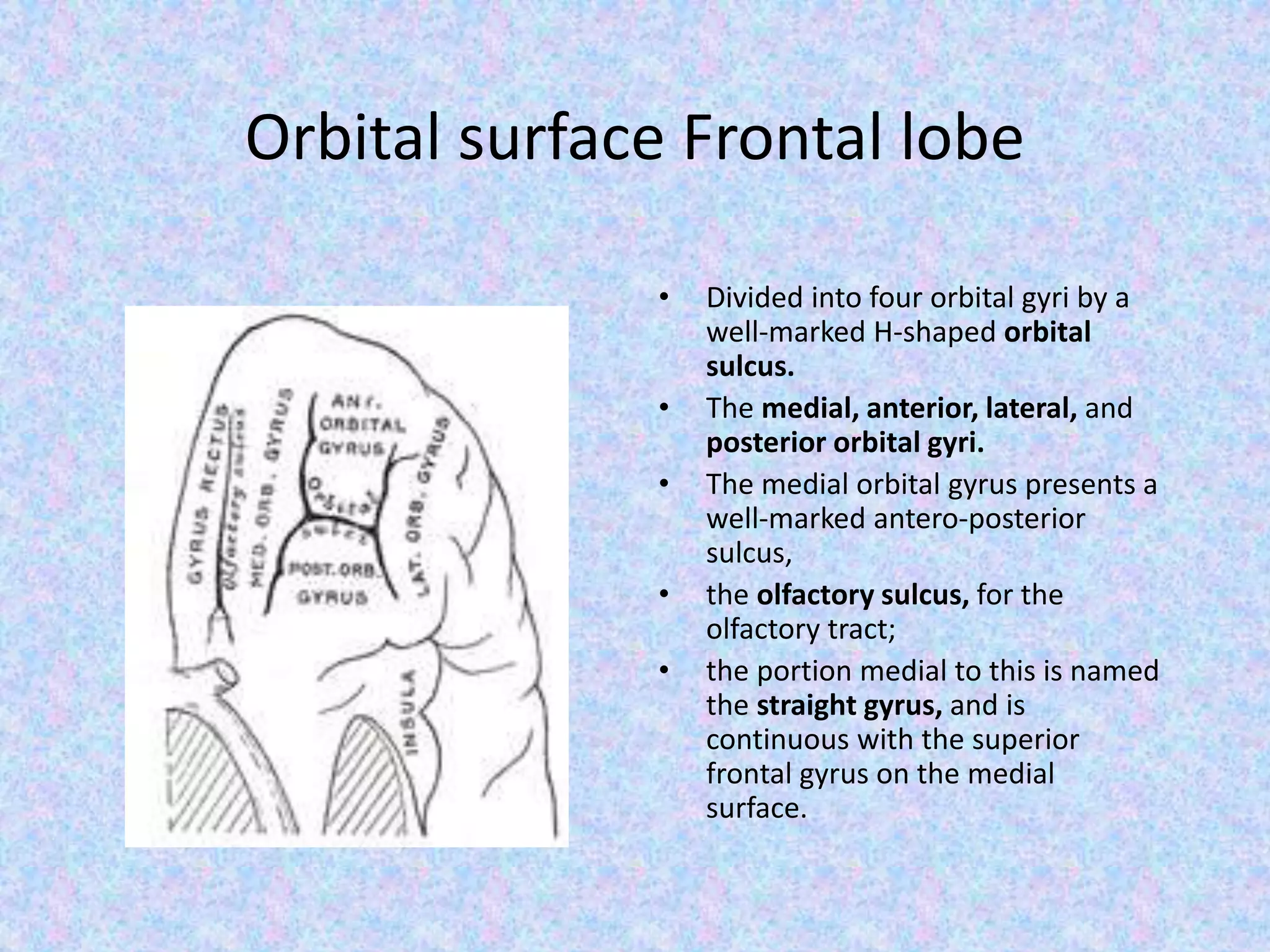 Neuro psychiatric aspect of frontal lobe | PPTX