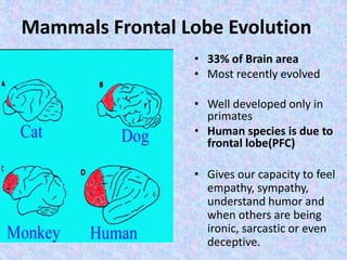 Neuro psychiatric aspect of frontal lobe | PPTX