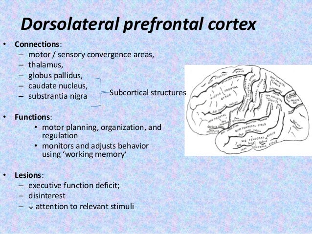 Neuro psychiatric aspect of frontal lobe