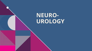 Neuro-Urology Tutorial for Undergraduates.pptx