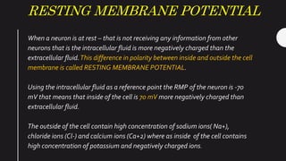 Neuron | PPTX