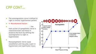 NEUROCRITICAL CARE BASICS ANATOMY25M.pptx