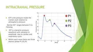 NEUROCRITICAL CARE BASICS ANATOMY25M.pptx