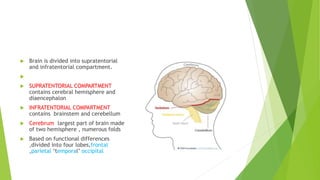 NEUROCRITICAL CARE BASICS ANATOMY25M.pptx