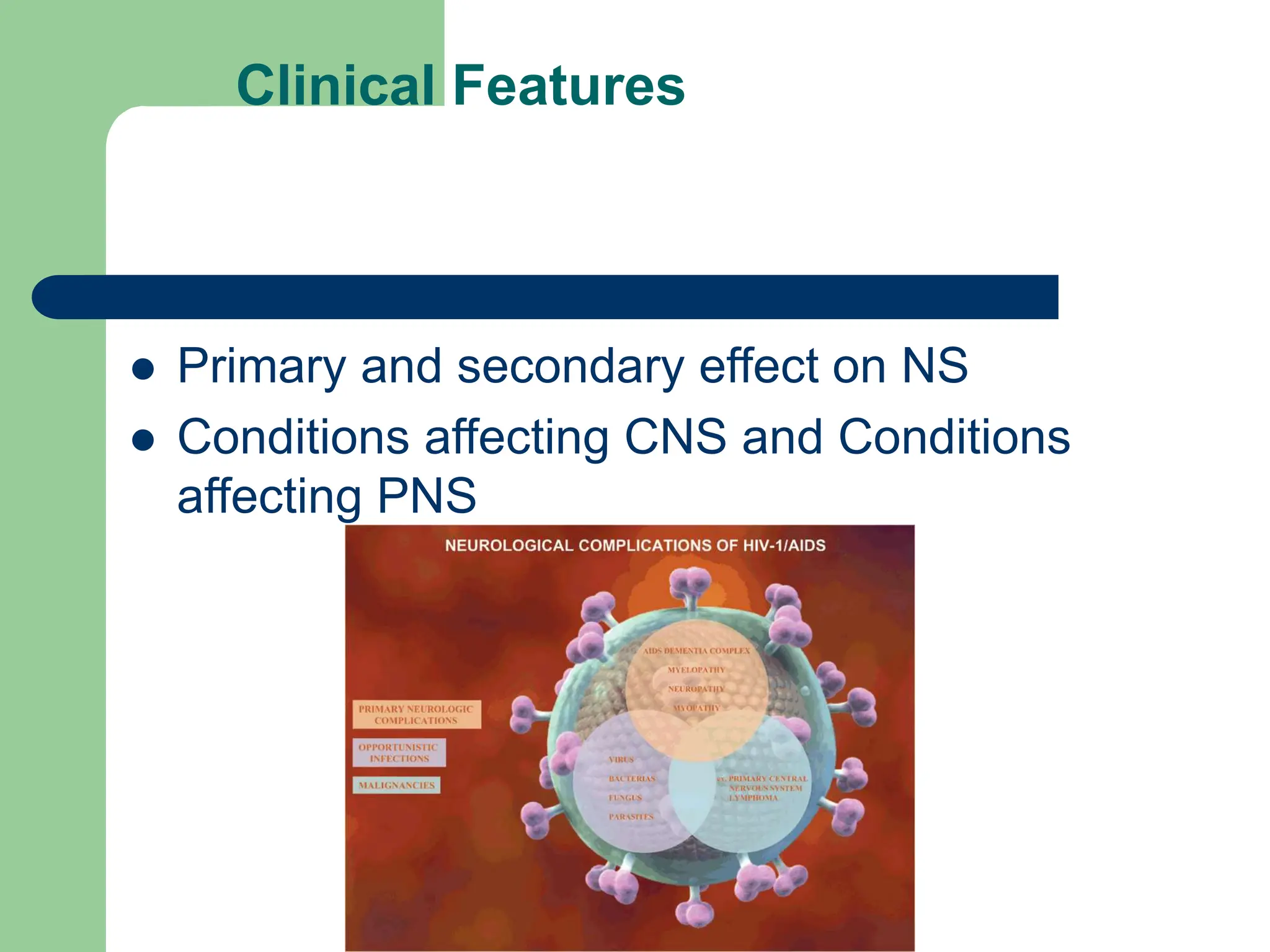 neuroaids_ppt.ppt