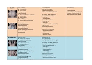 Neuroanatomia (Anatomia del encefalo) | PDF