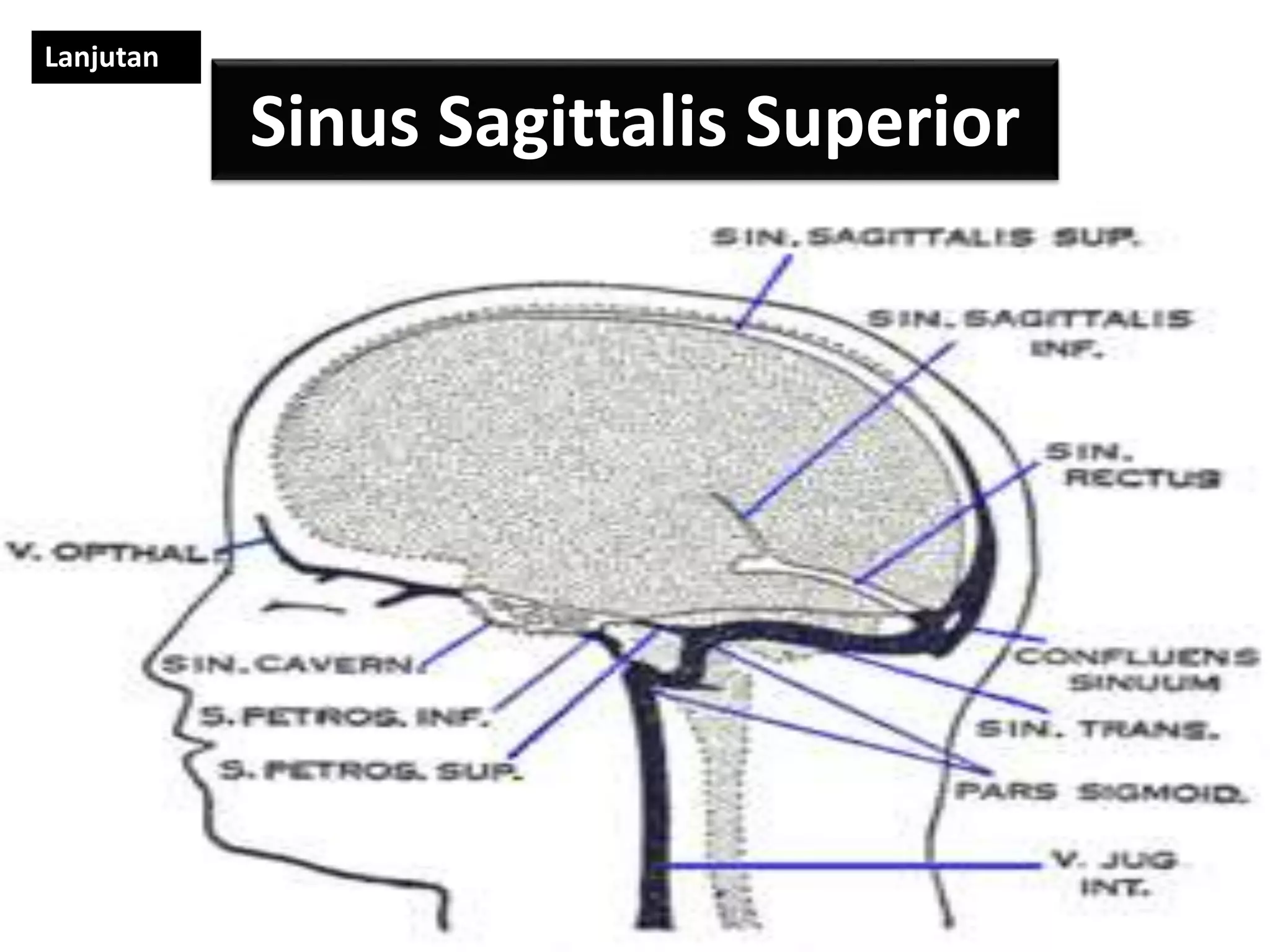 Neurologi | PPTX