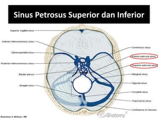 Neurologi | PPTX