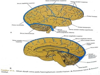 Neurologi | PPTX