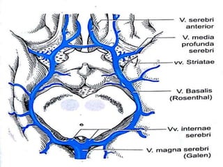 Neurologi | PPTX
