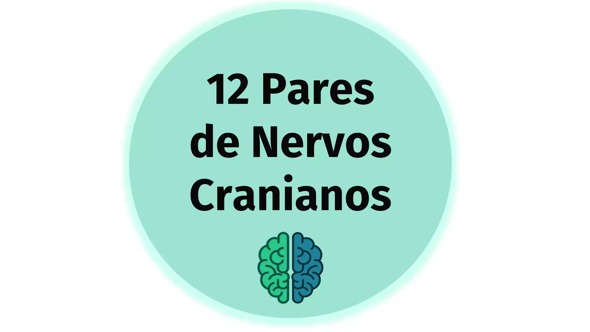 Neuroanatomia 12 nervos cranianos | PPTX