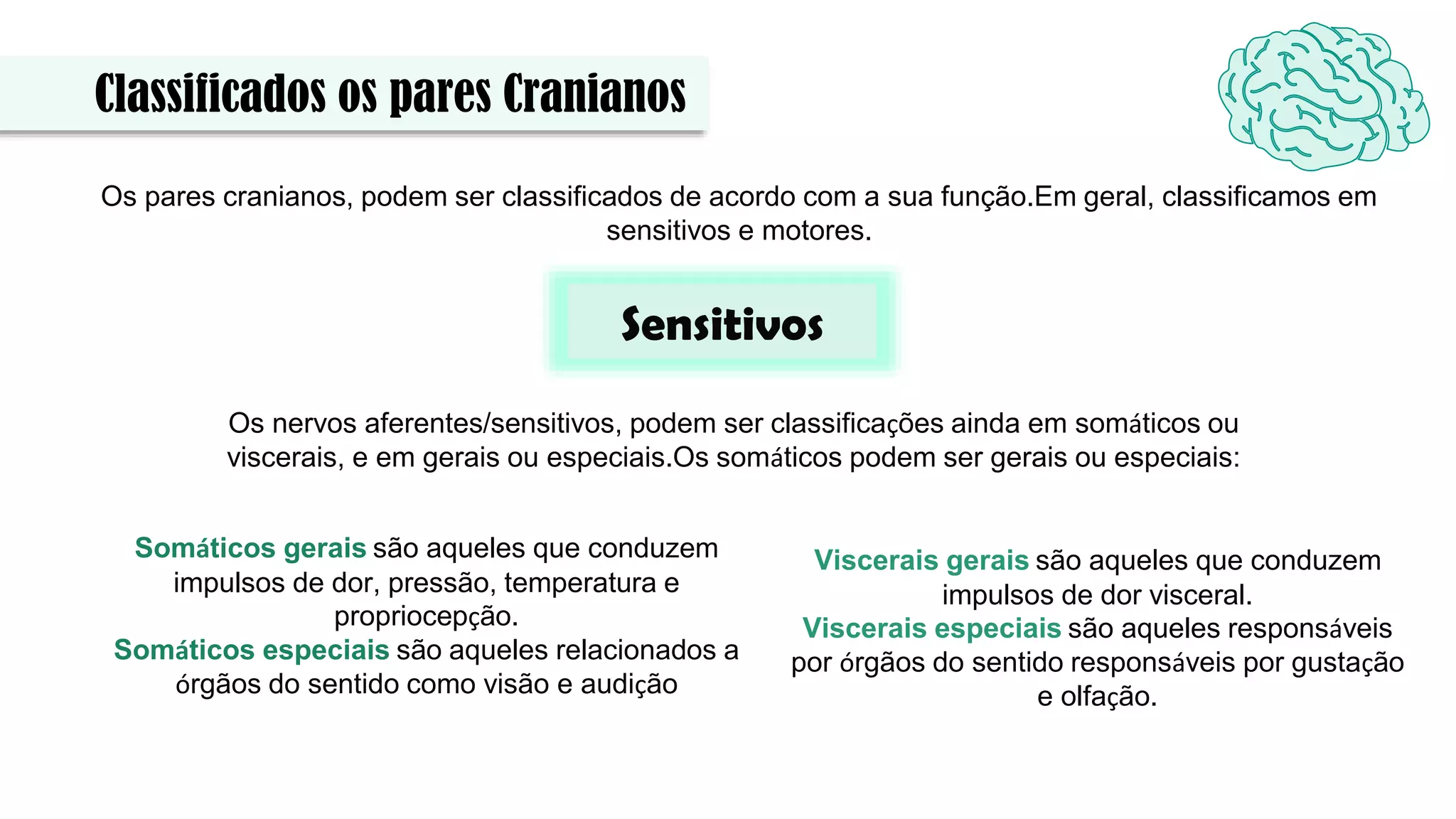 Neuroanatomia 12 nervos cranianos | PPTX