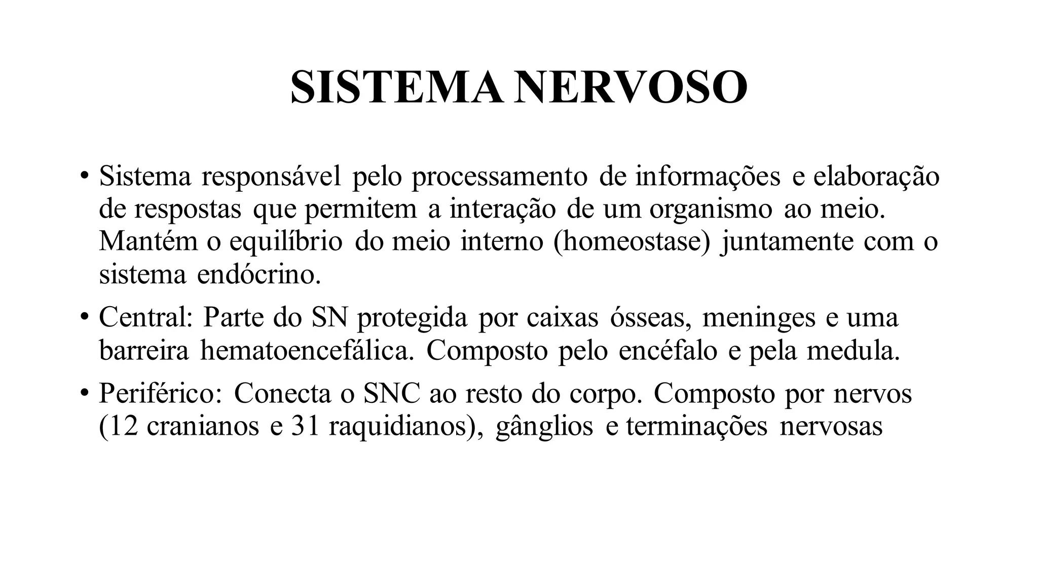 Neuroanatomia Básica | PPT