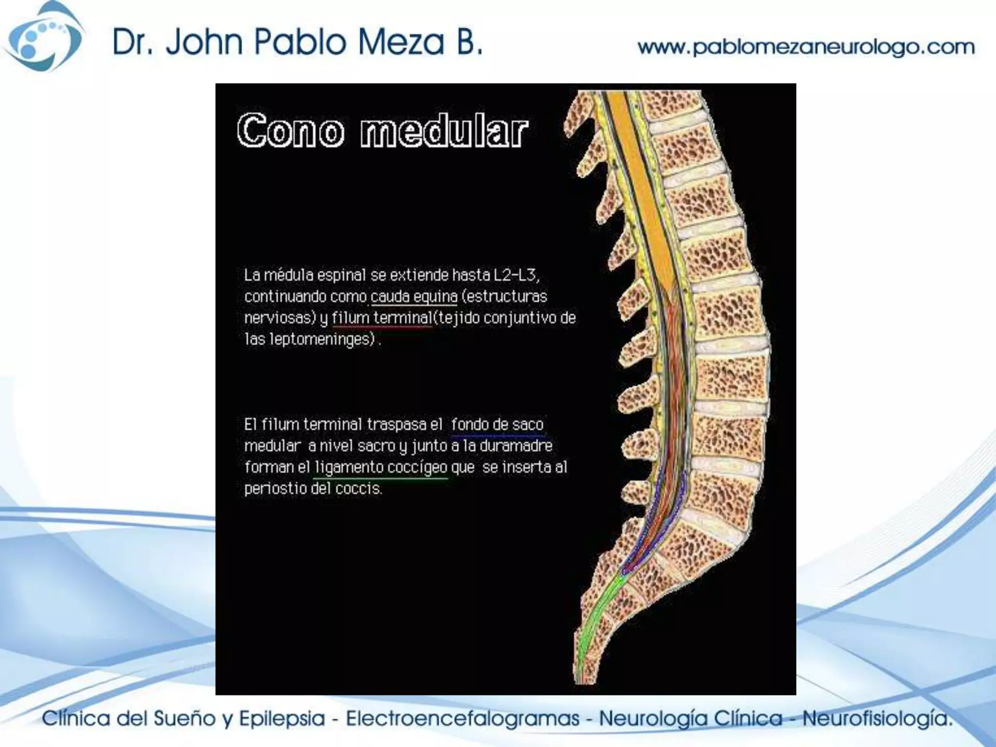 Neuroanatomia anatomia de la médula espinal | PPTX