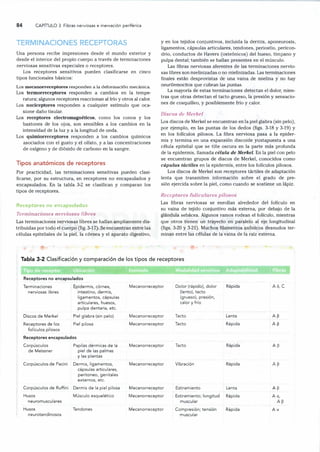 Neuroanatomía 8va edición .pdf ferjvfsw tb bnkioitd | PDF