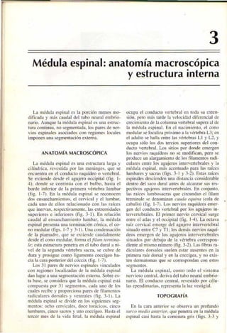Neuroanatomia carpenter 4 ed | PDF