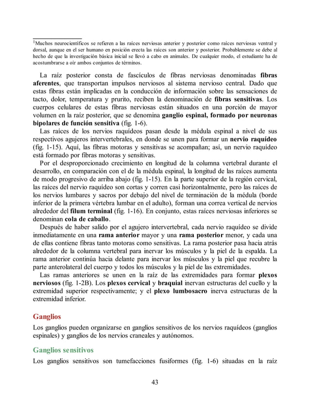 Neuroanatomia Clinica Snell 7a Edicion_booksmedicos.org.pdf