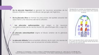 NEUROANATOMIA, FISIOLOGÍA Y EMBRIOLOGIA APLICADAS.pptx