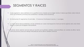 NEUROANATOMIA, FISIOLOGÍA Y EMBRIOLOGIA APLICADAS.pptx
