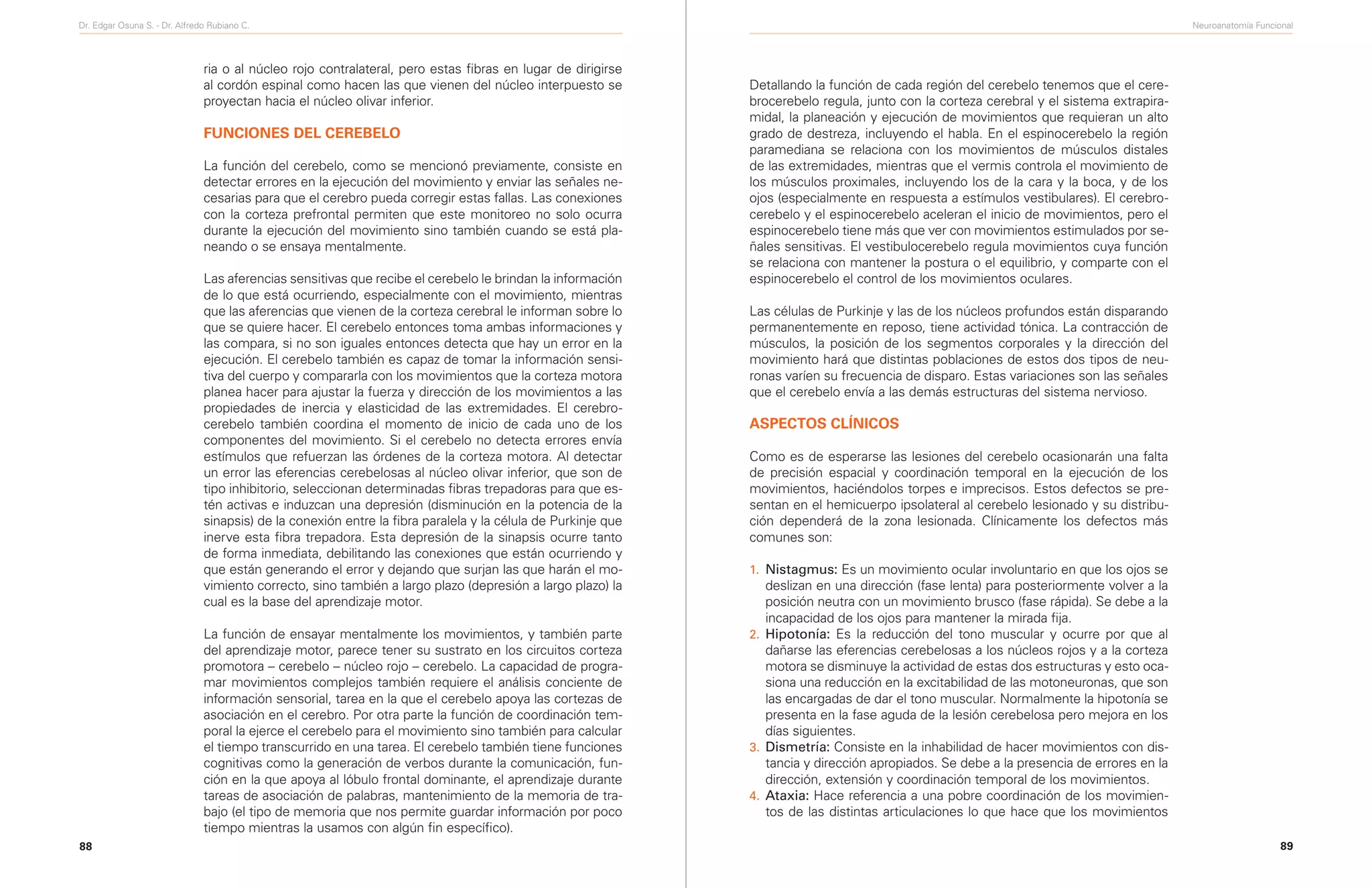 Neuroanatomia funcional | PDF