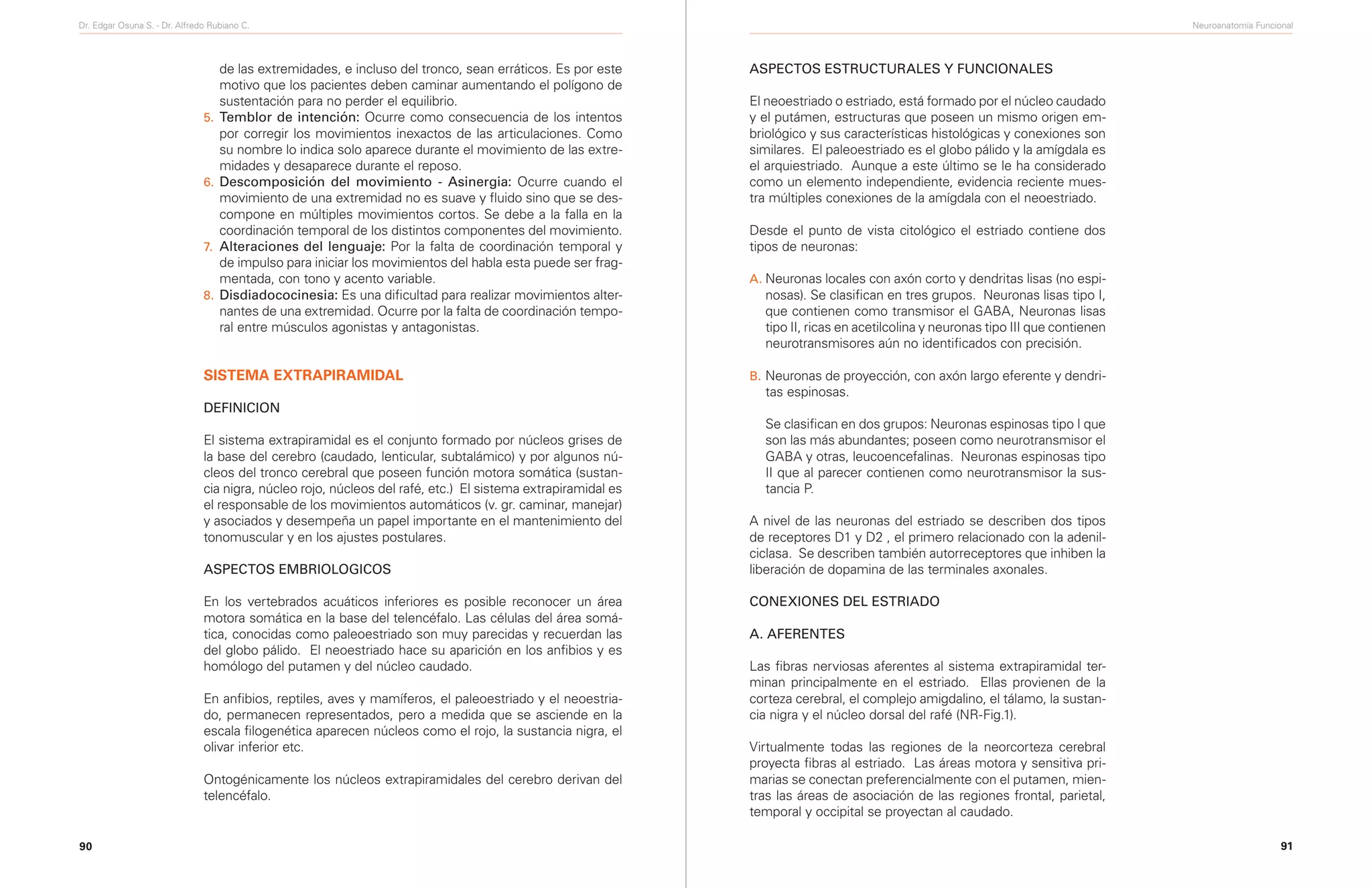 Neuroanatomia funcional | PDF
