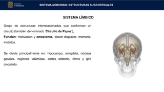Neuroanatomía I.pptx