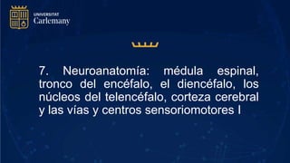 Neuroanatomía I.pptx