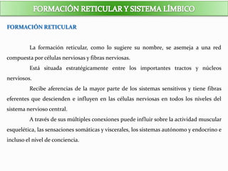 Formación reticular y el sistema límbico | PPTX