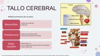 NEUROANATOMÍA Y EXPLORACIÓN NEUROLÓGICA.pptx