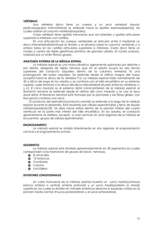 Neuroanatomia y neurologia | PDF