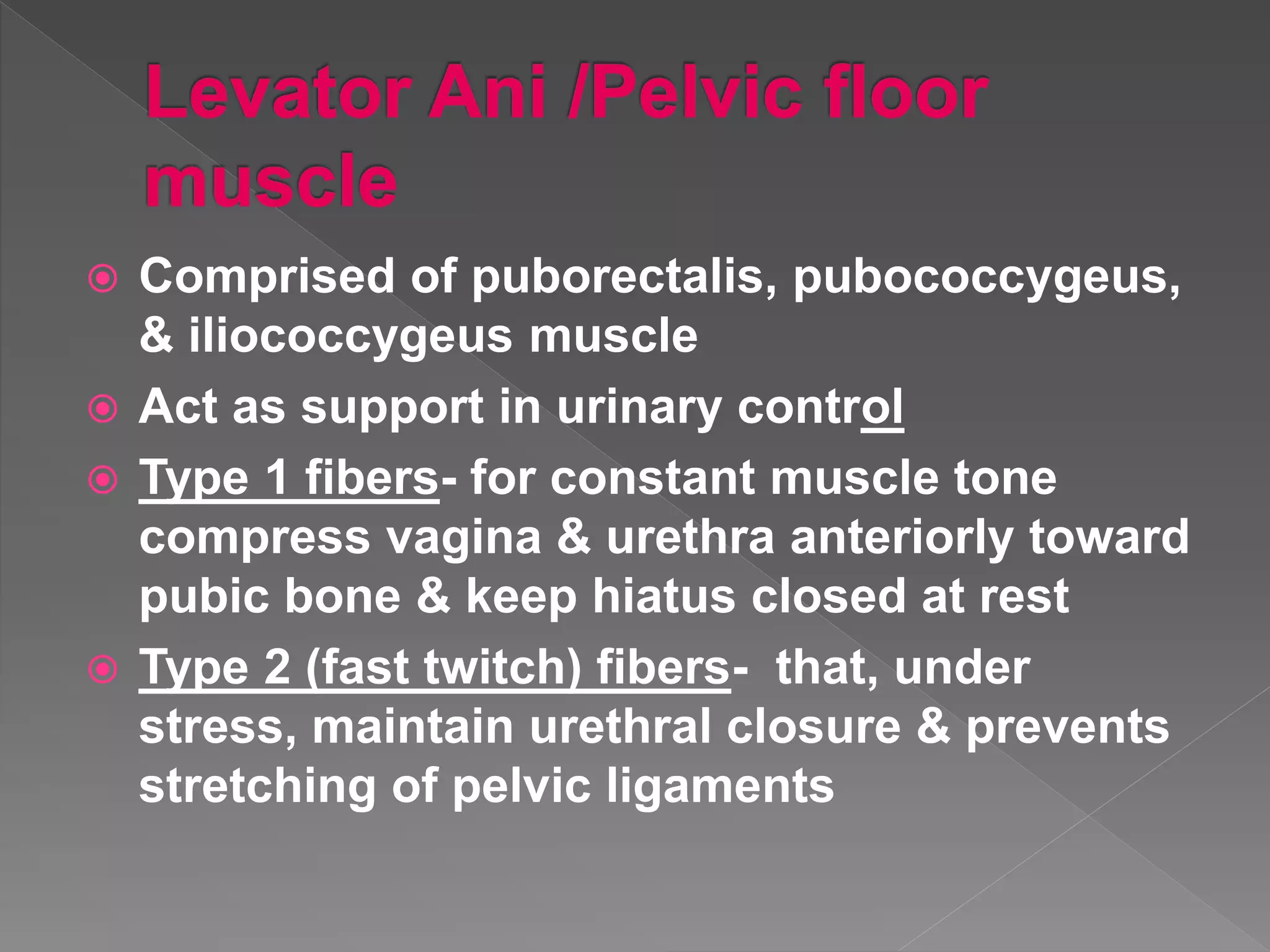 Neuroanatomical aspects of urinary incontinence | PPTX