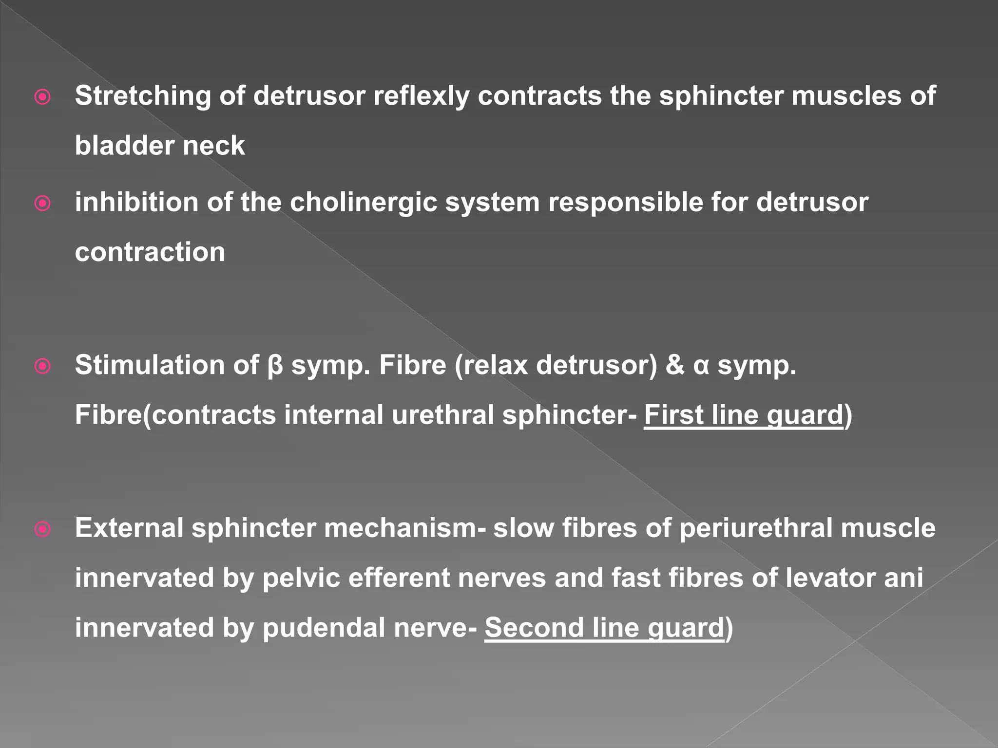 Neuroanatomical aspects of urinary incontinence | PPTX