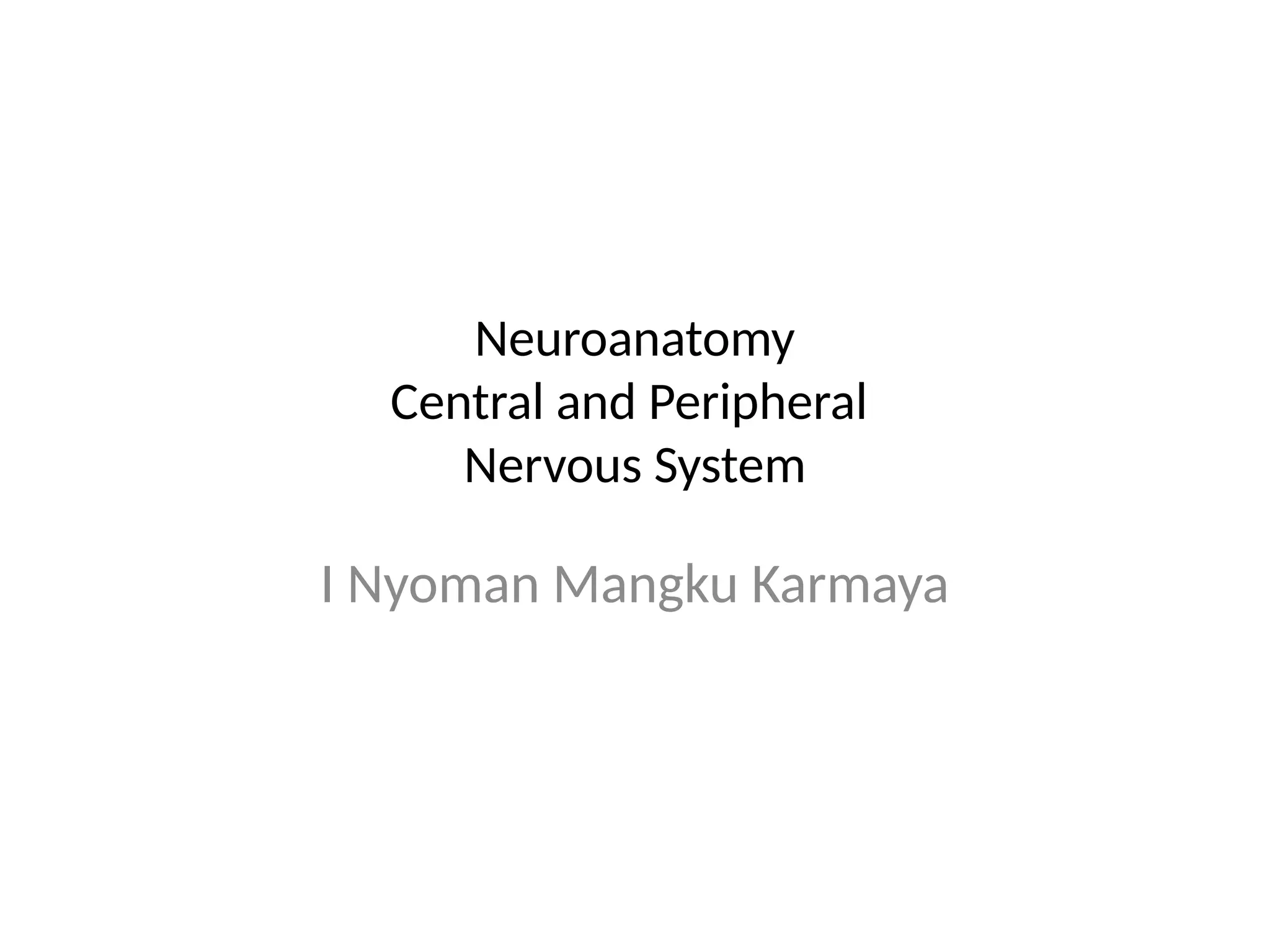 Neuroanatomy of central an peripheral nervous system | PPTX