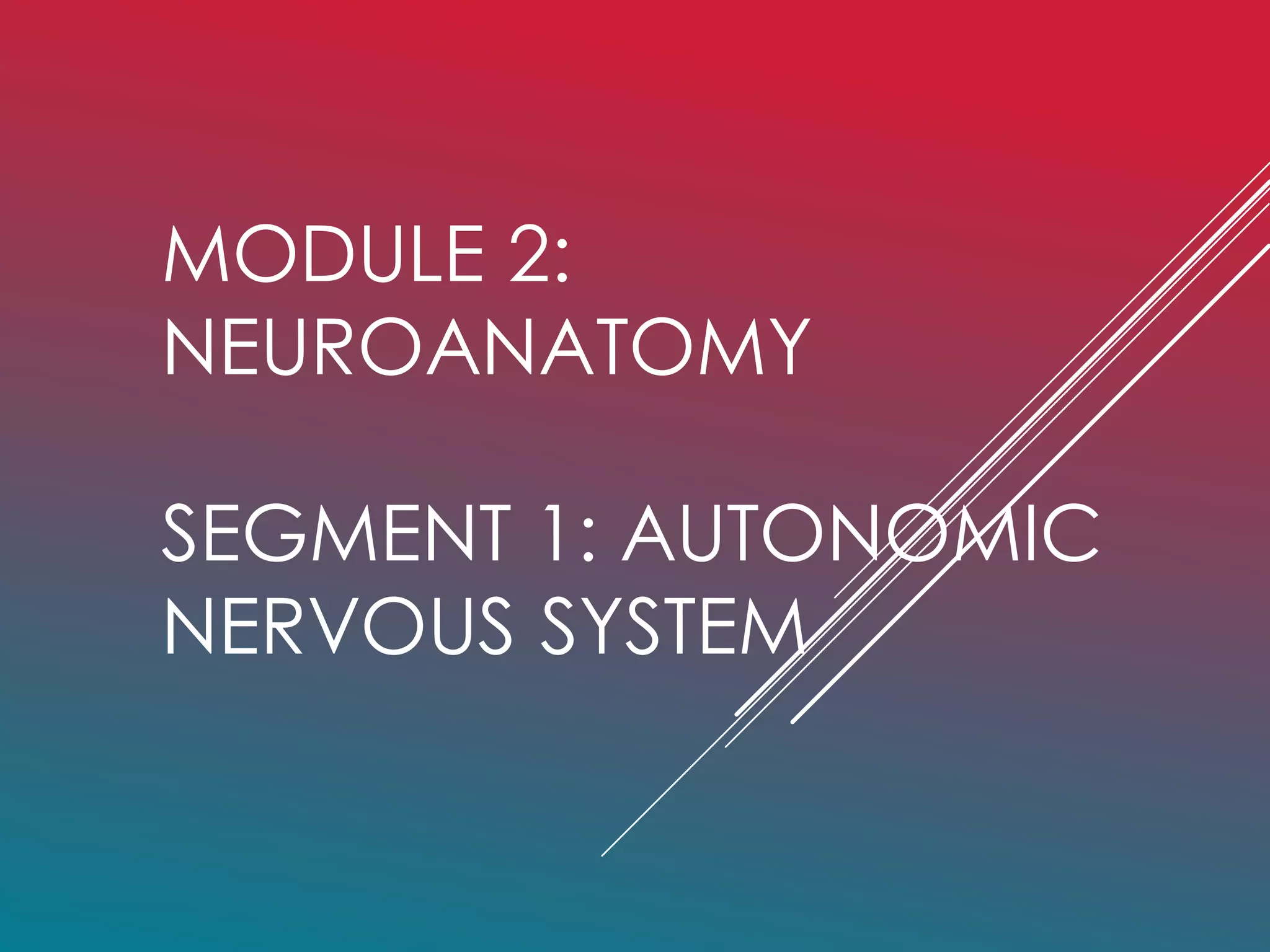 Neuroanatomy | PDF